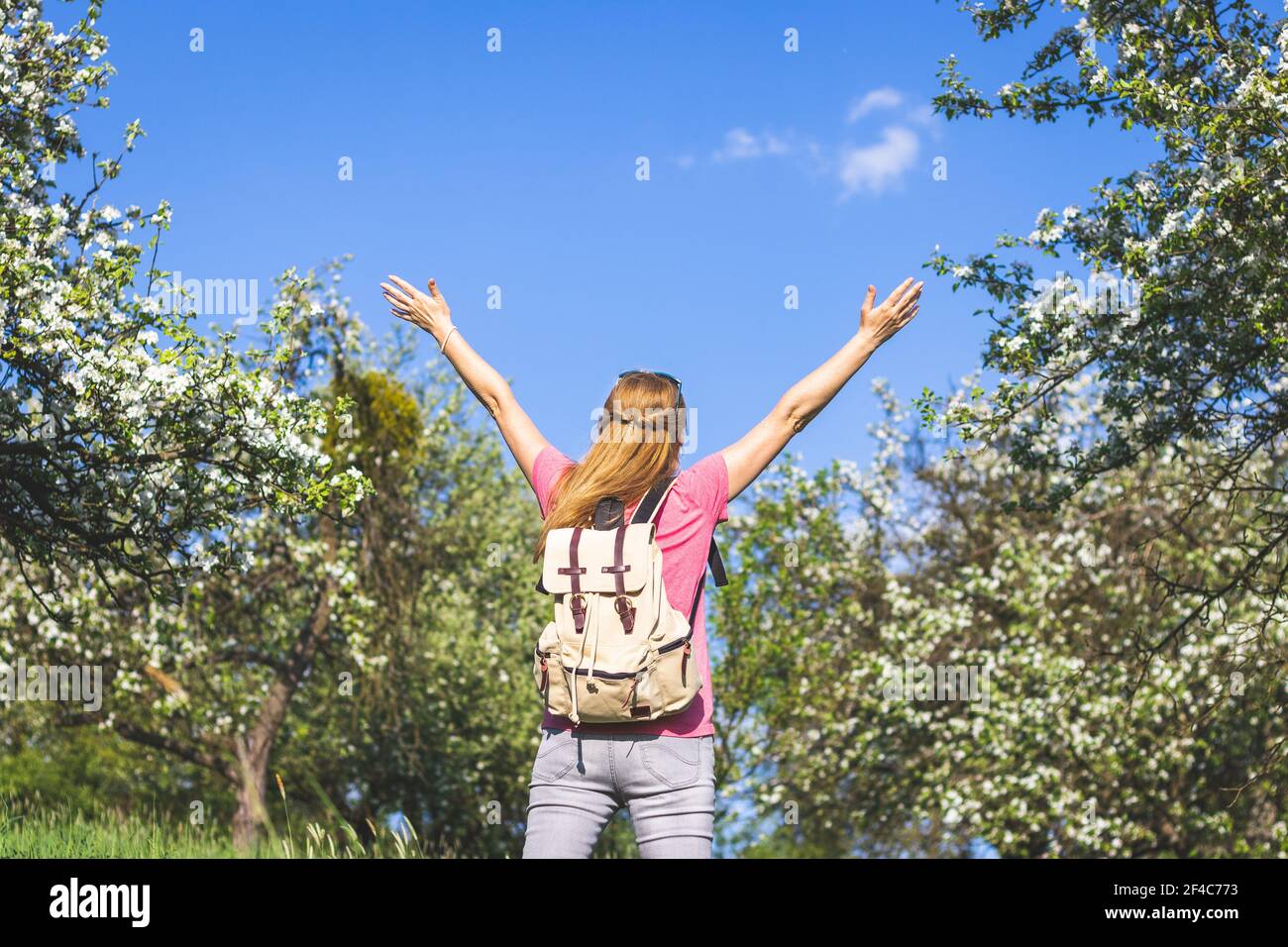 Spring is coming. Woman raising arms in blooming orchard. Happy ...
