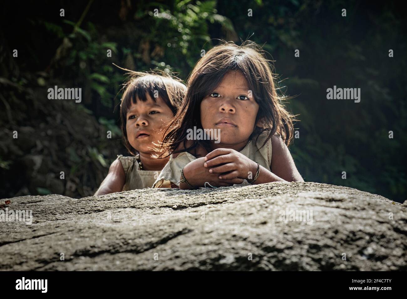 Indian Forest People