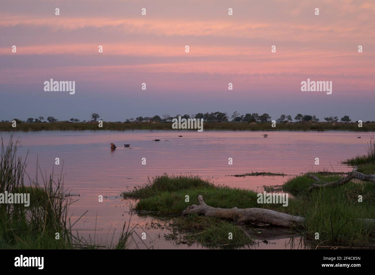 Botswana landscape panorama hi-res stock photography and images - Alamy
