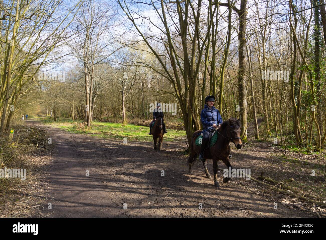 Ashford, Kent, UK. 20th Mar, 2021. UK Weather: Pleasant Saturday ...