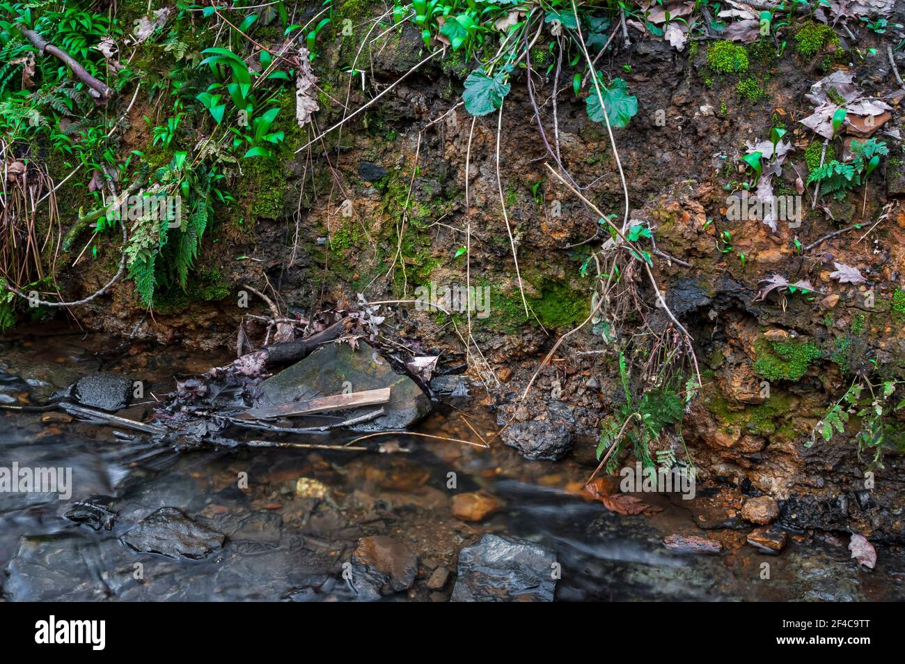 Coal gate bank hi-res stock photography and images - Alamy