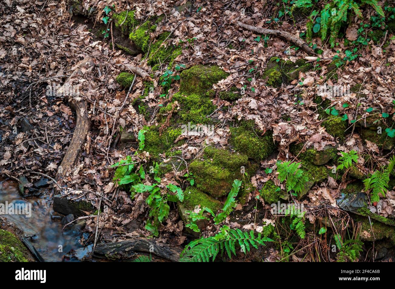 Coal seam rock wall hi-res stock photography and images - Alamy