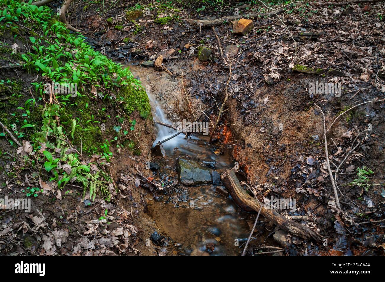 Tiny waterfall over impervious clay near the outcrop of a coal seam in ...