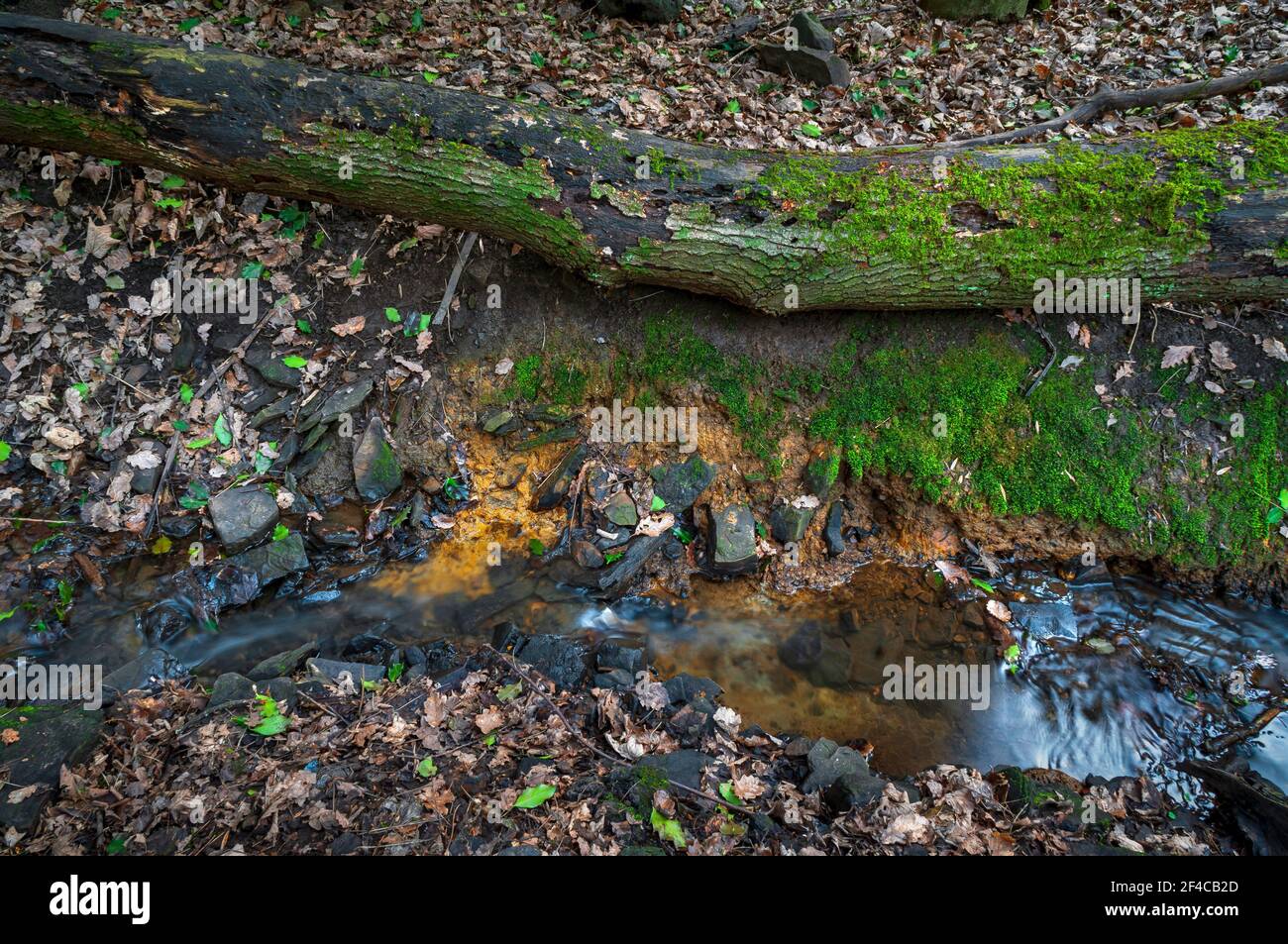 Outcrop with coal seam hi-res stock photography and images - Alamy