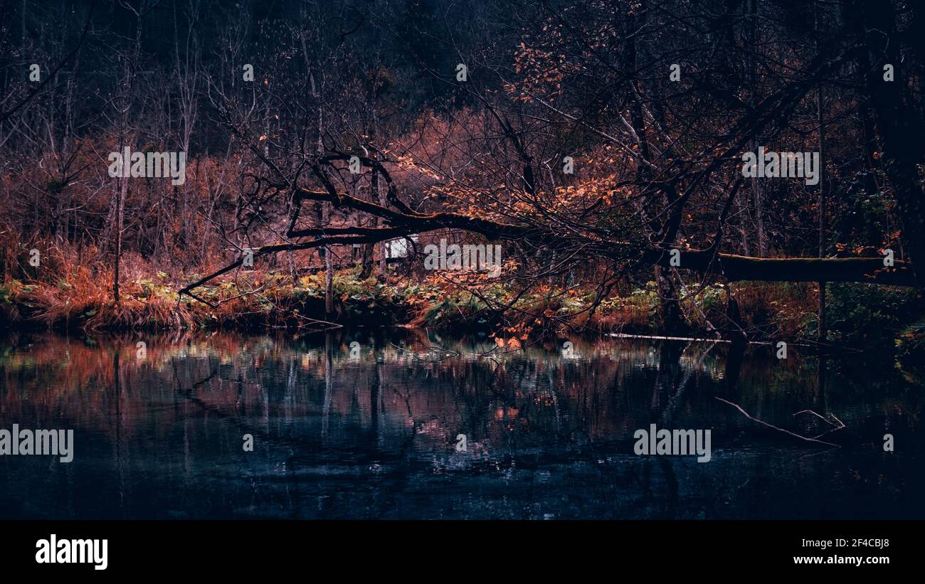 Fall foliage mesmerizing colors hi-res stock photography and images - Alamy