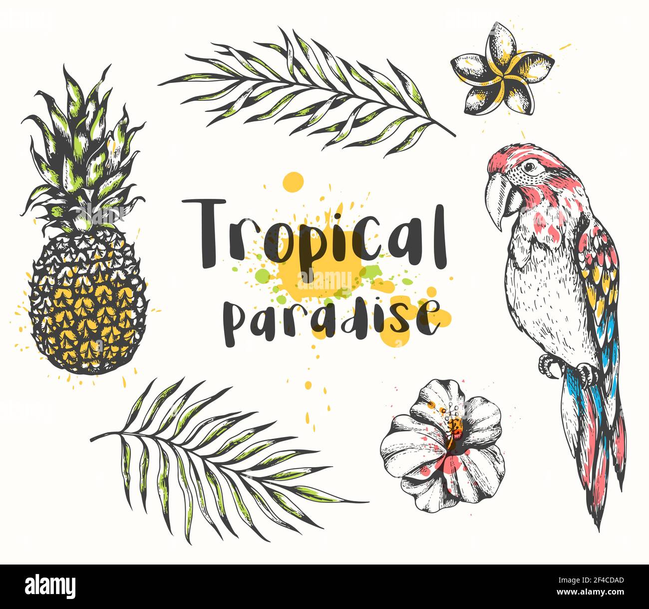 Parrot on palm tree Cut Out Stock Images & Pictures - Alamy