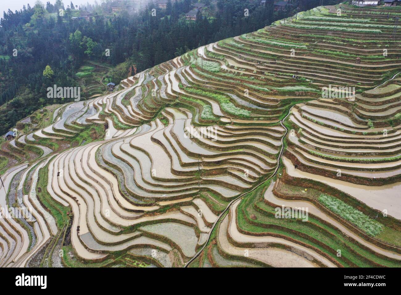 CONGJIANG, CHINA - MARCH 20, 2021 - Aerial photo taken on March 20 ...