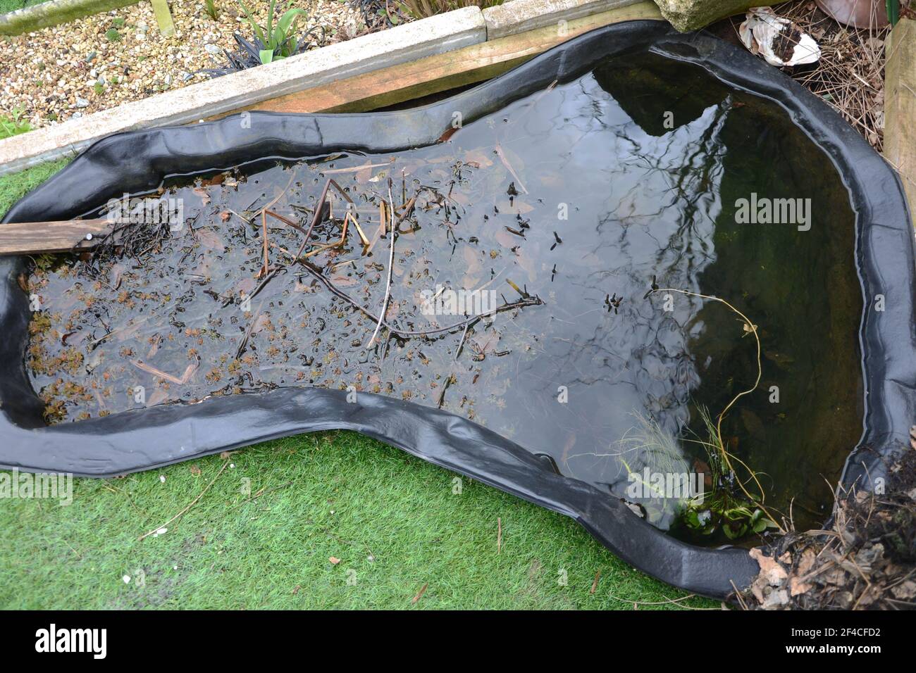 Artifical plants hi-res stock photography and images - Alamy