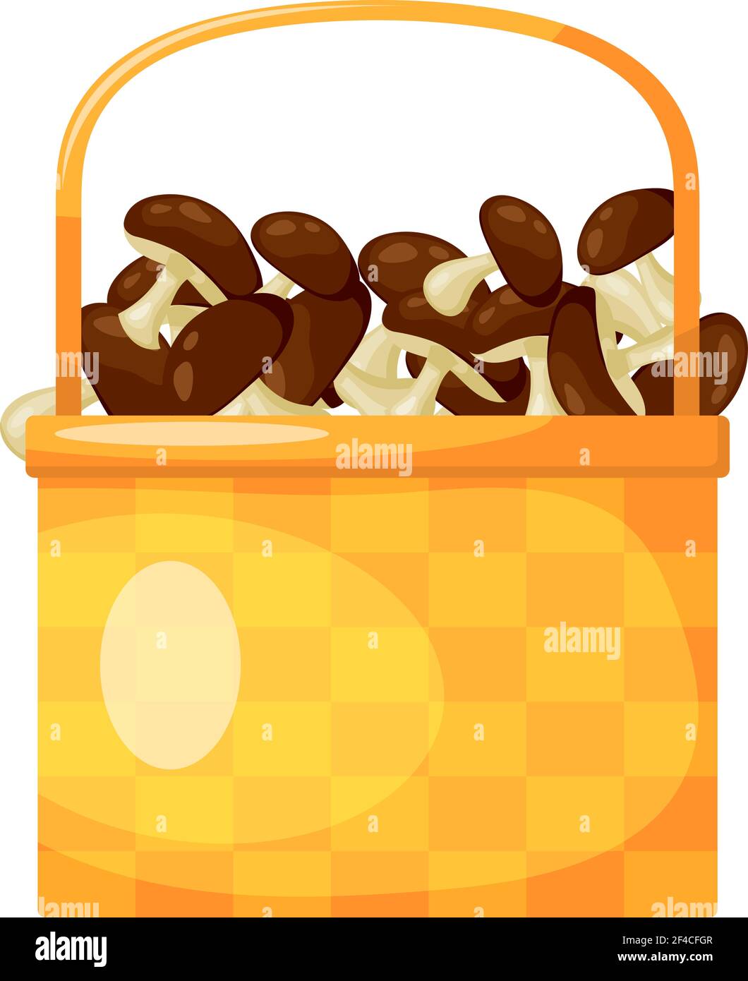 Mushroom natural detail Stock Vector Images - Alamy