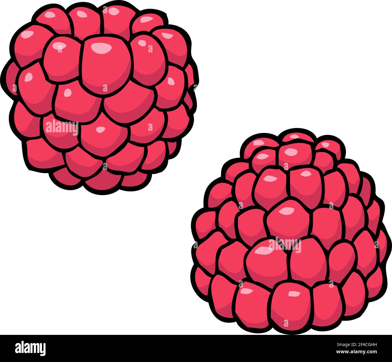 Cartoon Raspberry