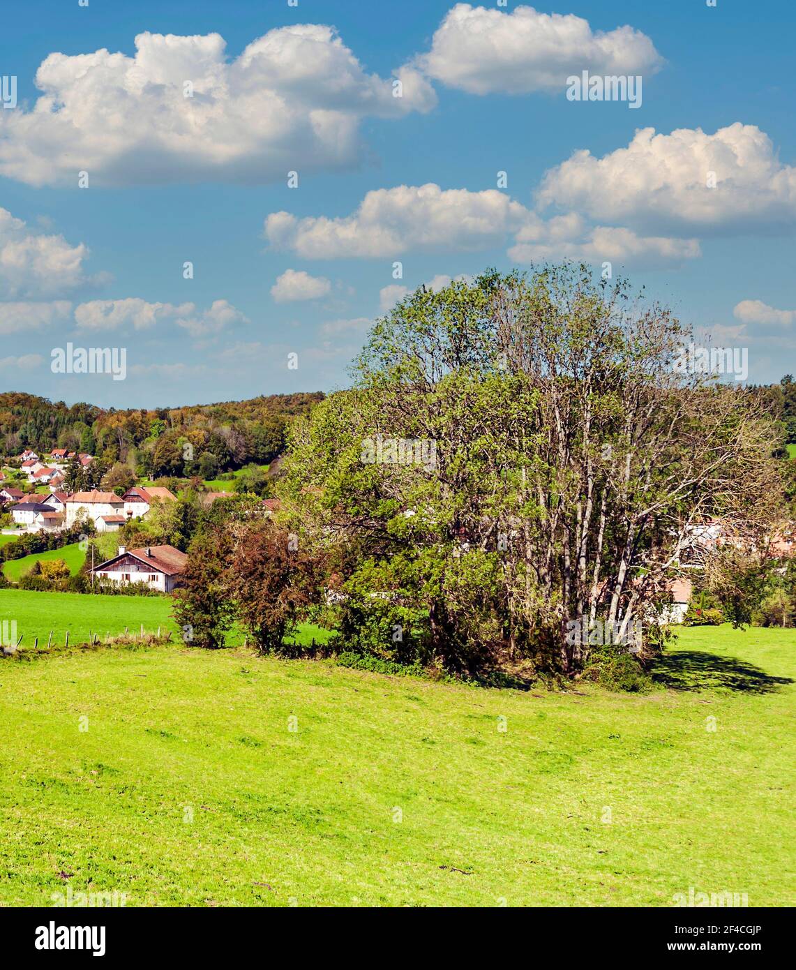 Wettolsheim hi-res stock photography and images - Alamy