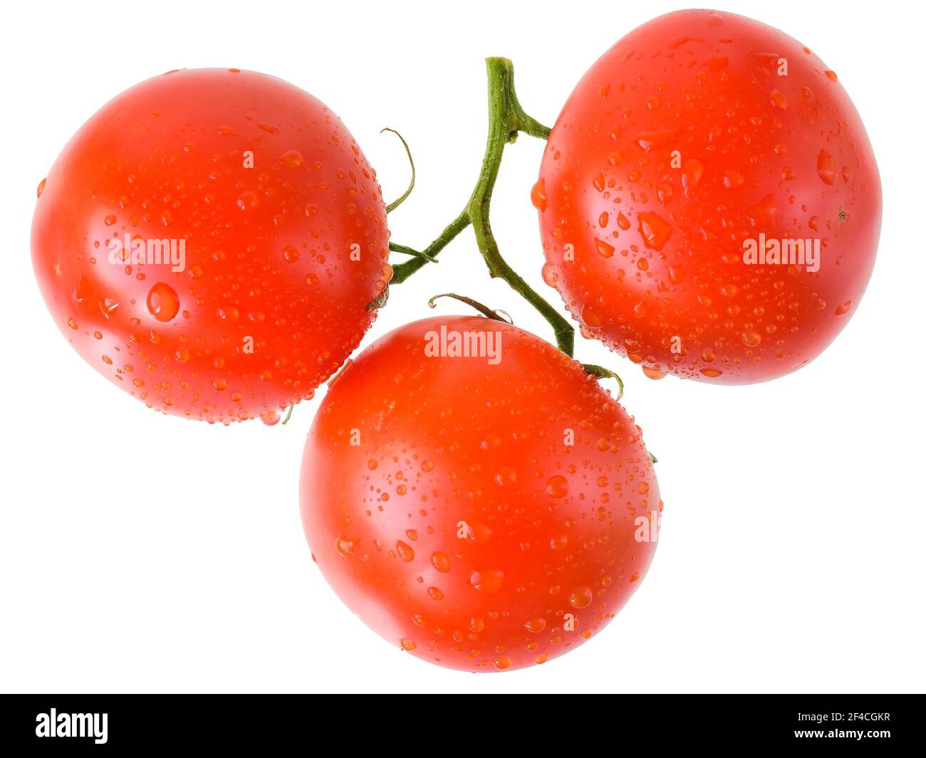Three tomato hi-res stock photography and images - Alamy