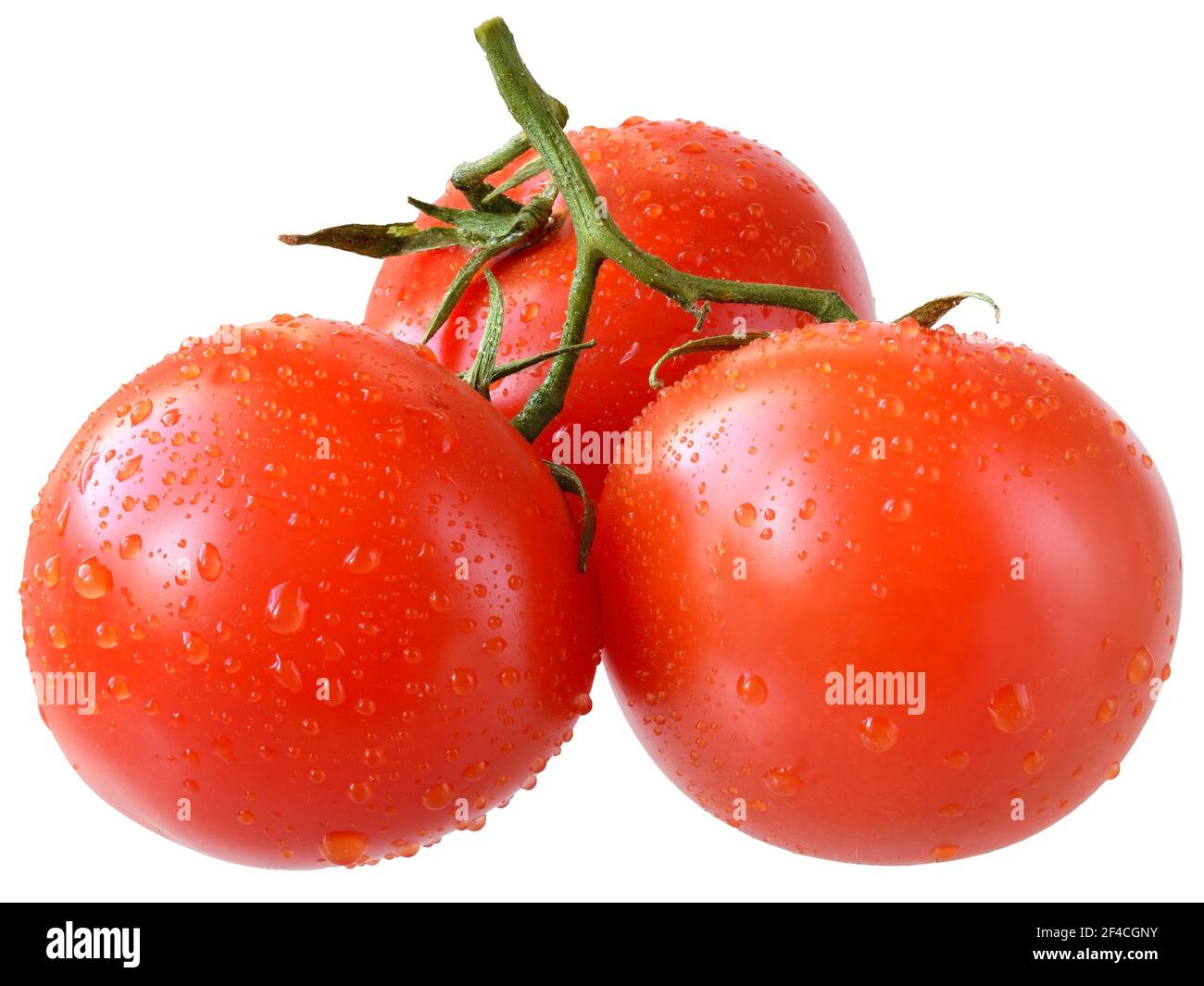 Three tomato hi-res stock photography and images - Alamy