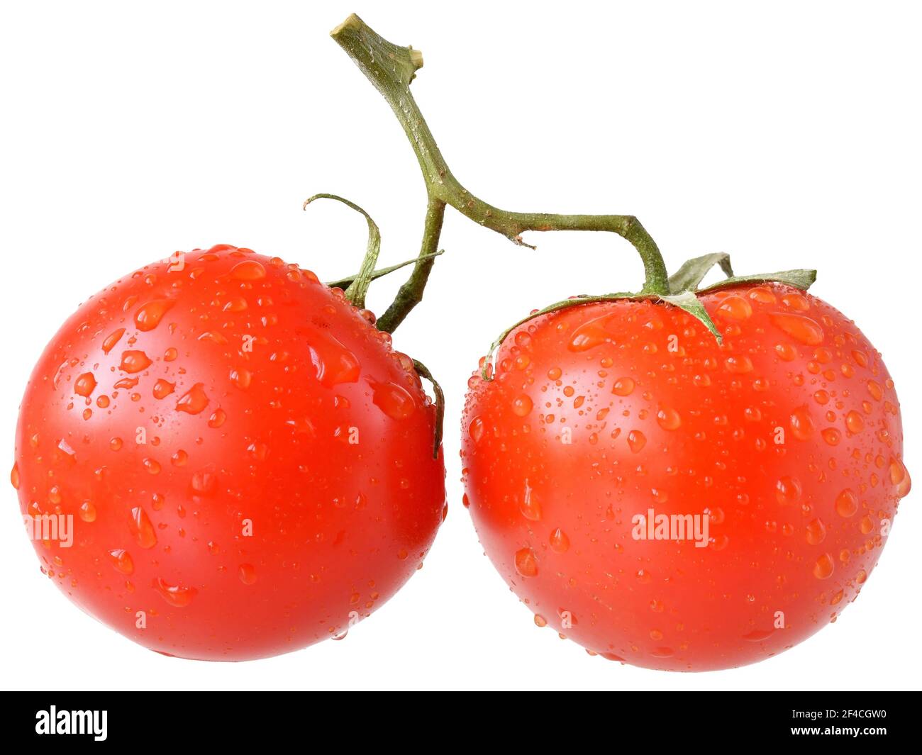 Two tomato hi-res stock photography and images - Alamy
