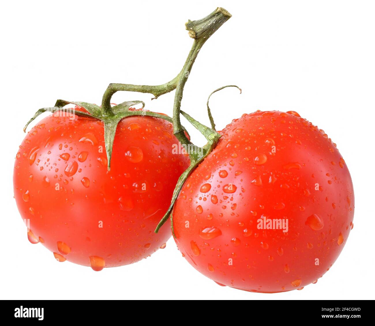 Two tomato hi-res stock photography and images - Alamy