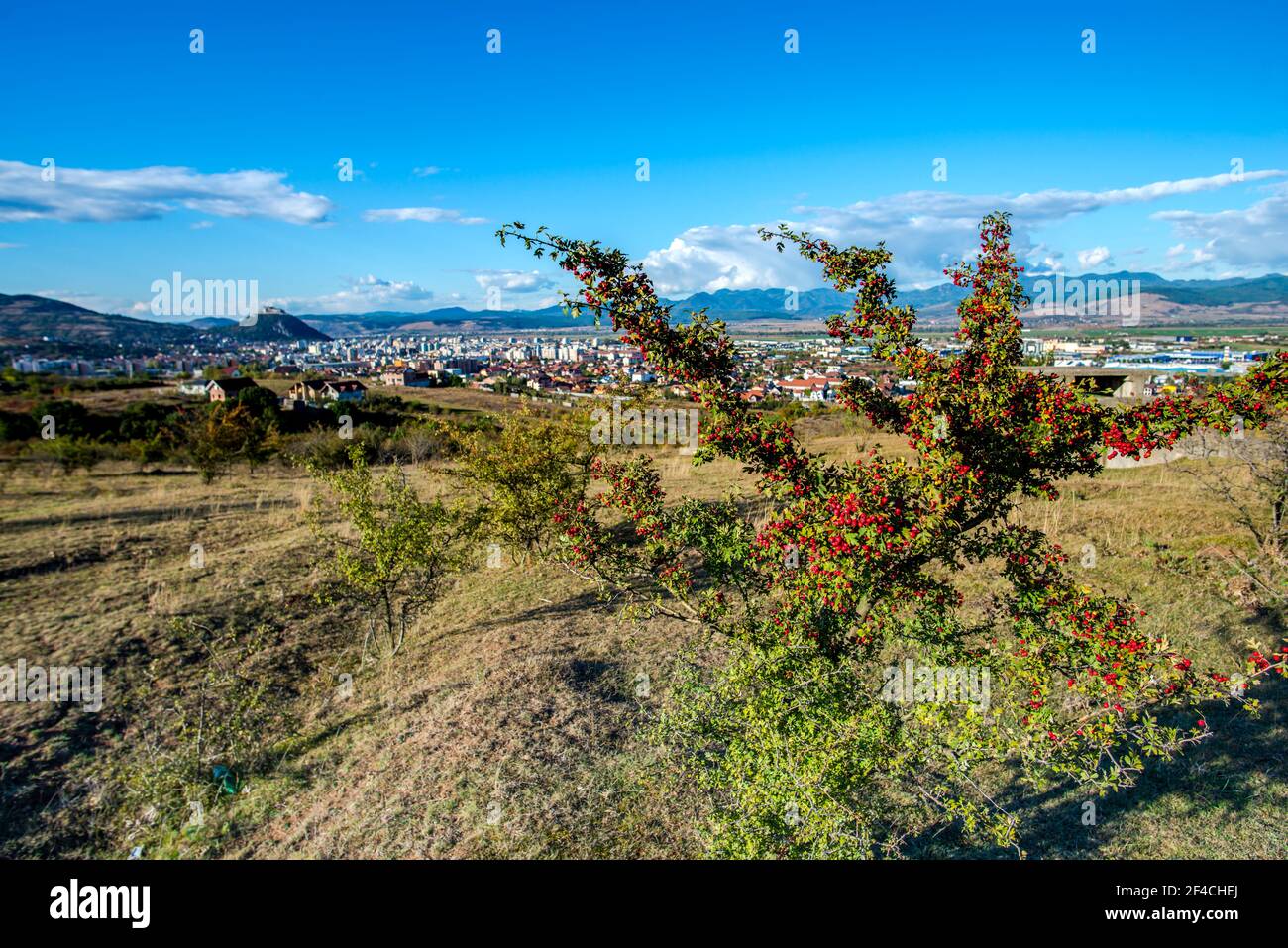 Deva city view on the summer, Romania Stock Photo - Alamy