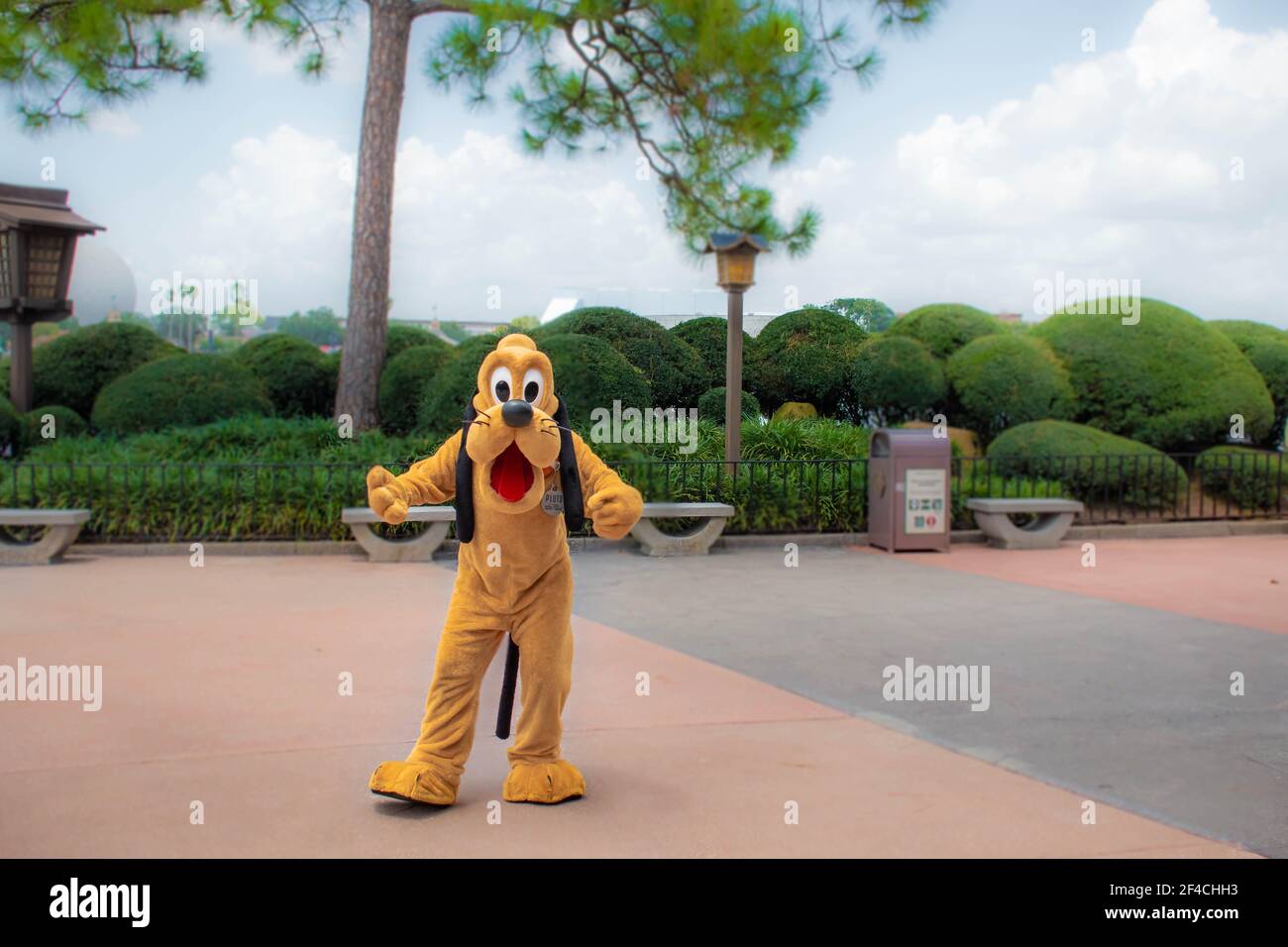 Orlando, Florida. July 29, 2020. Funny Pluto waving to his fans at ...