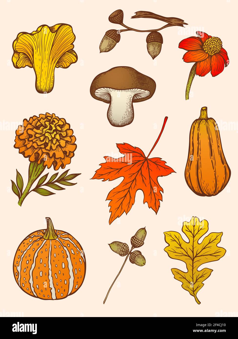 Set of hand drawn vector decorative autumn design elements in vintage ...