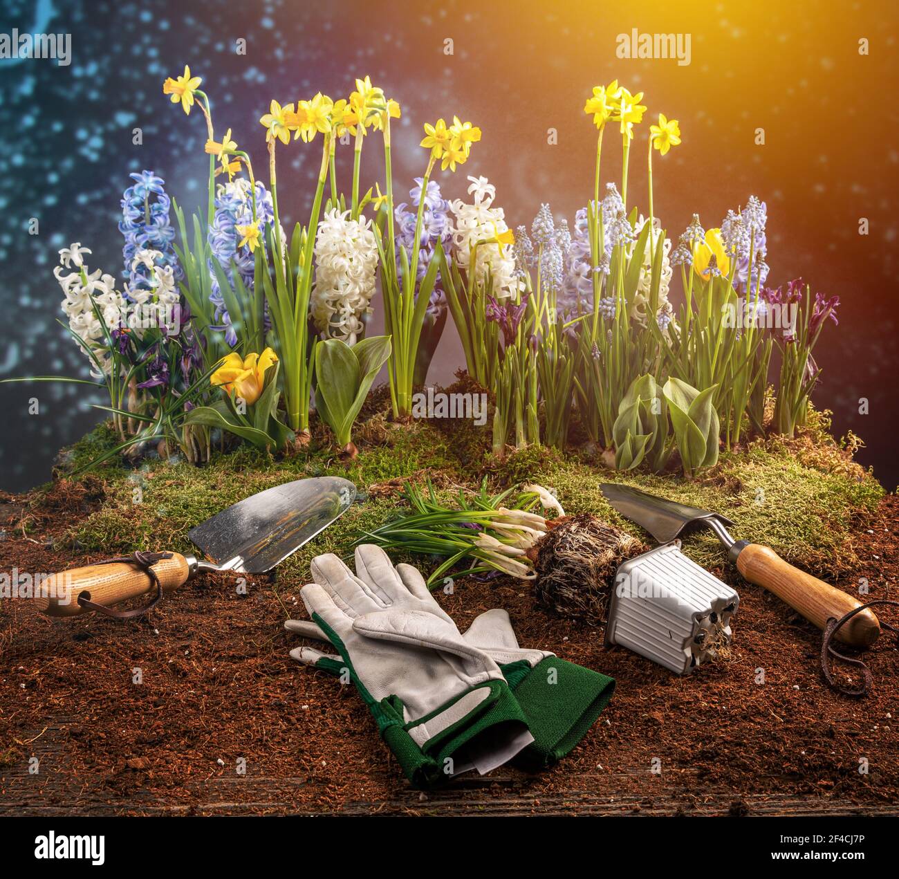 Gardening works hi-res stock photography and images - Alamy