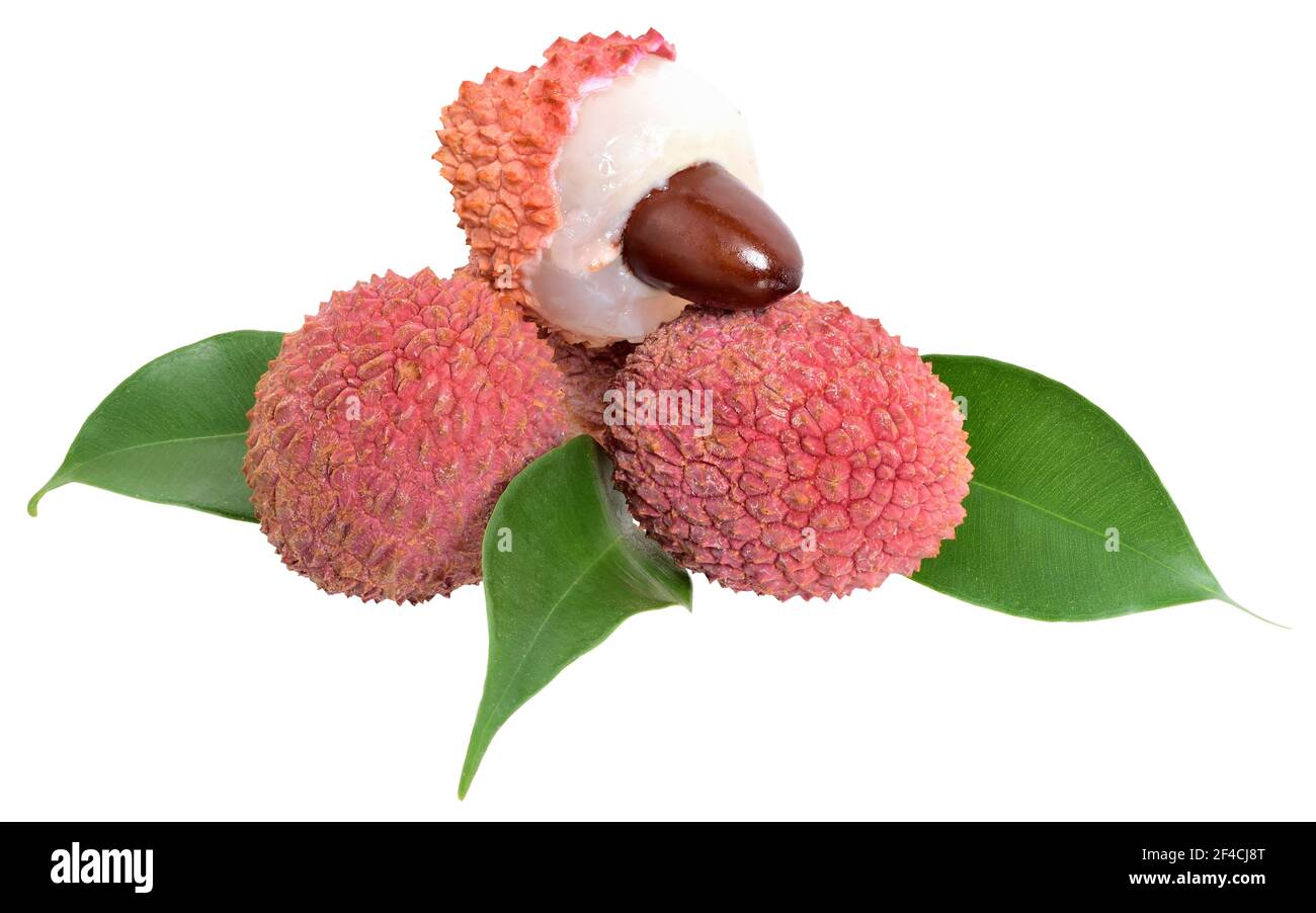 Fresh lychee exotic fruit with leaf isolated on a white background ...