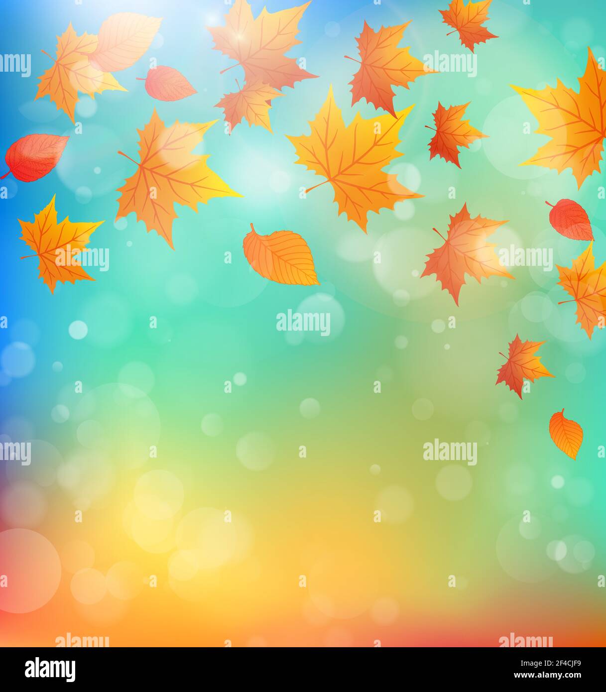 Maple leaf background Stock Vector Images - Alamy