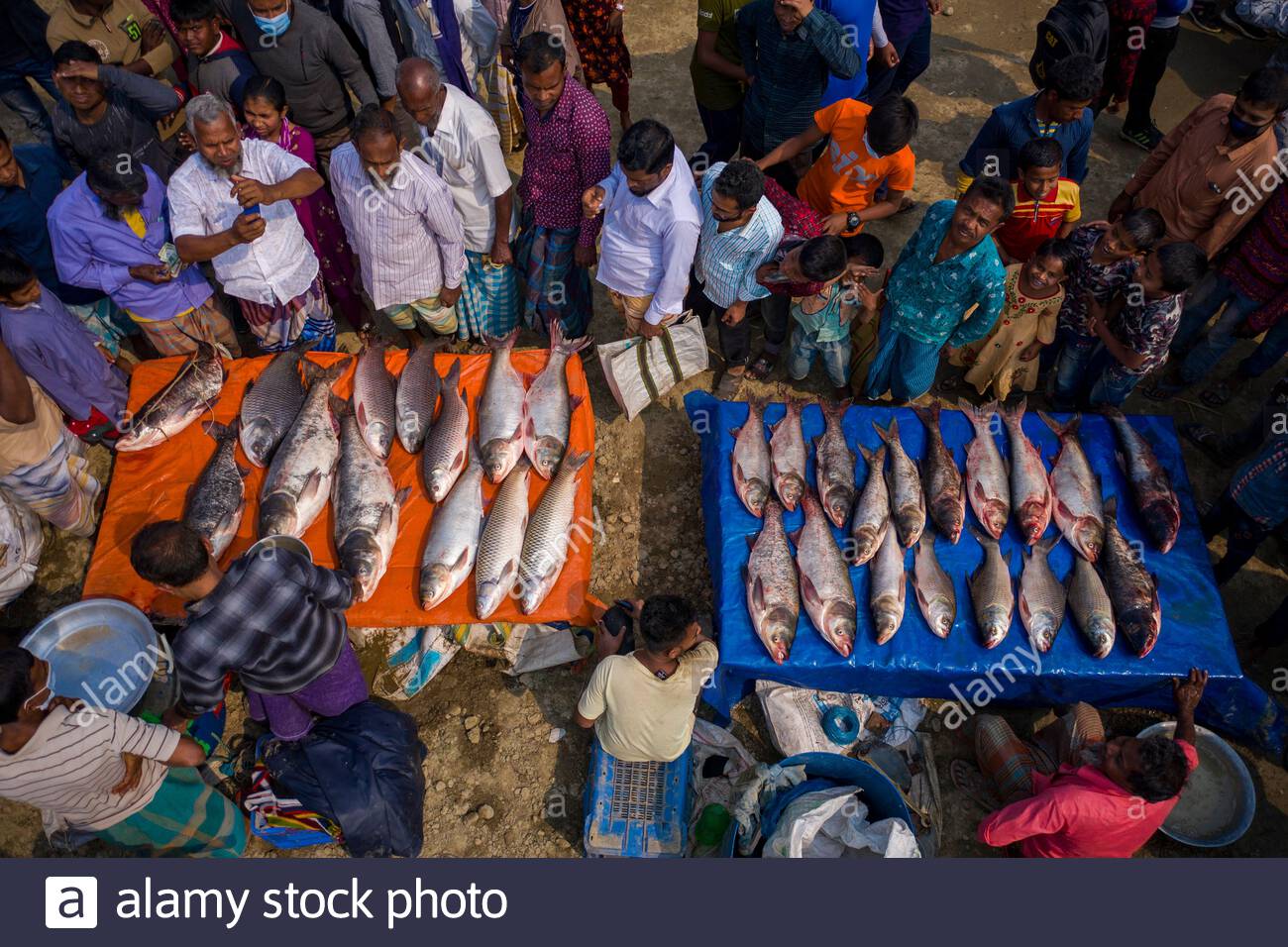 Bangladesh Fish Meal High Resolution Stock Photography and Images - Alamy