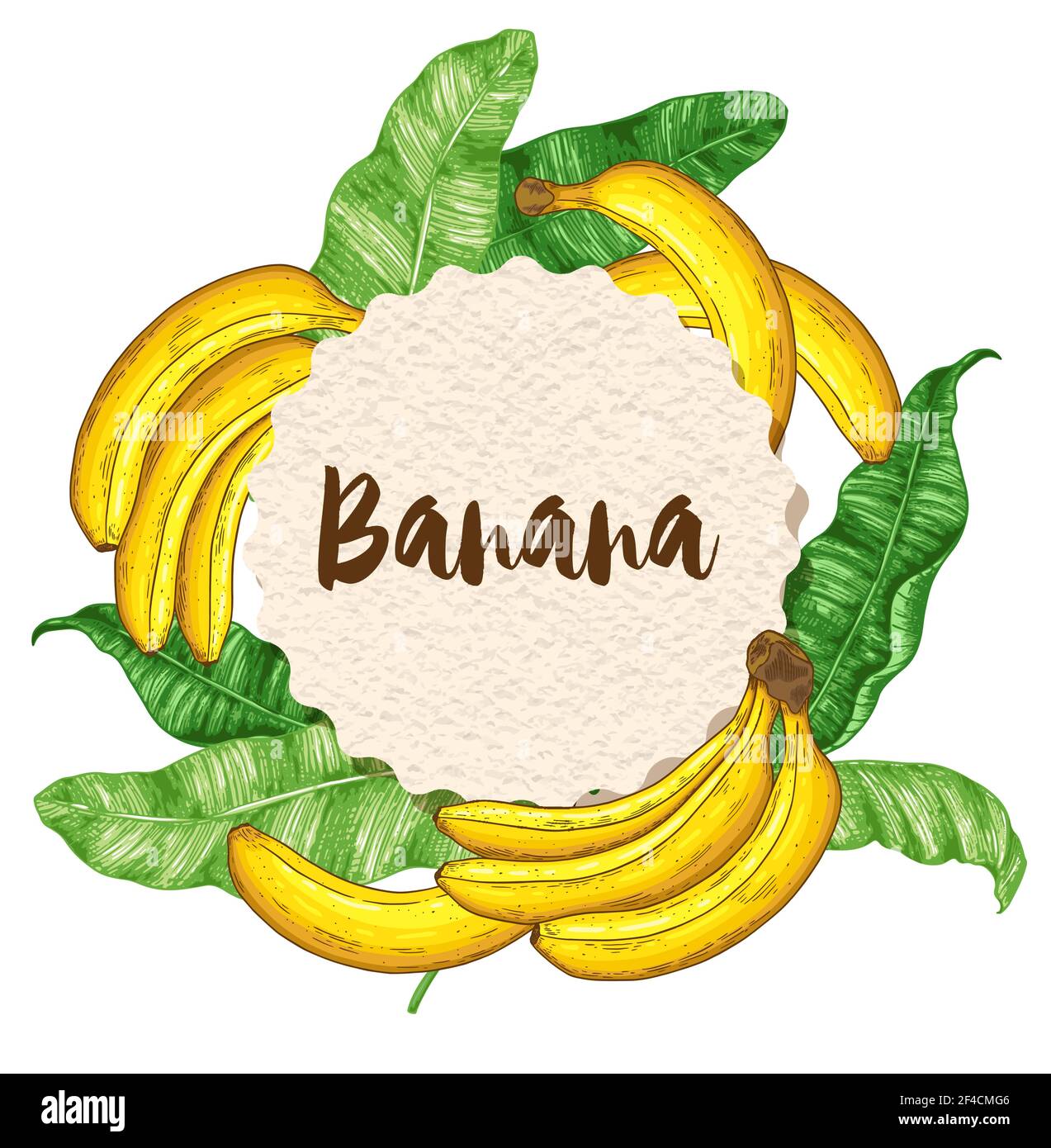 Round paper label with ripe yellow bananas and green leaves on a white ...
