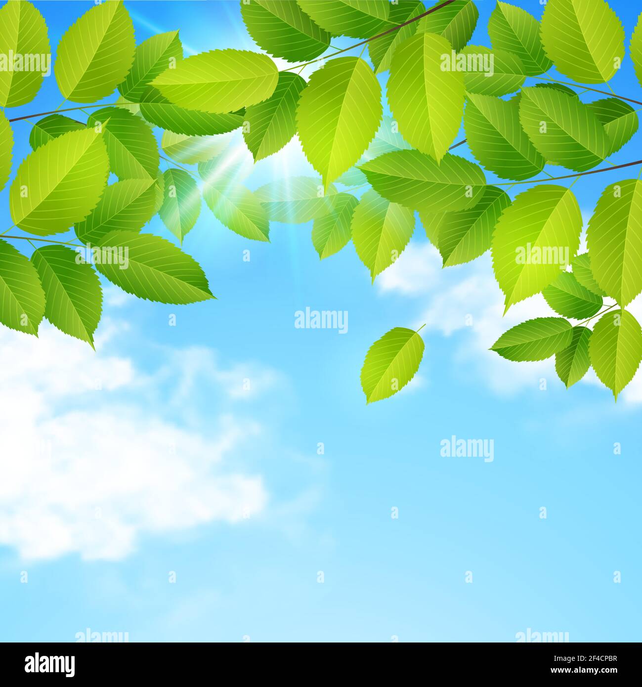 Blue elm Stock Vector Images - Alamy