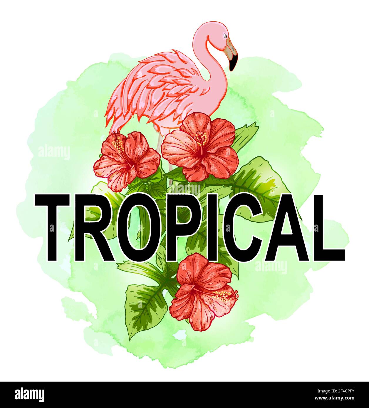 Summer background with red tropical flowers, green palm leaves, pink ...