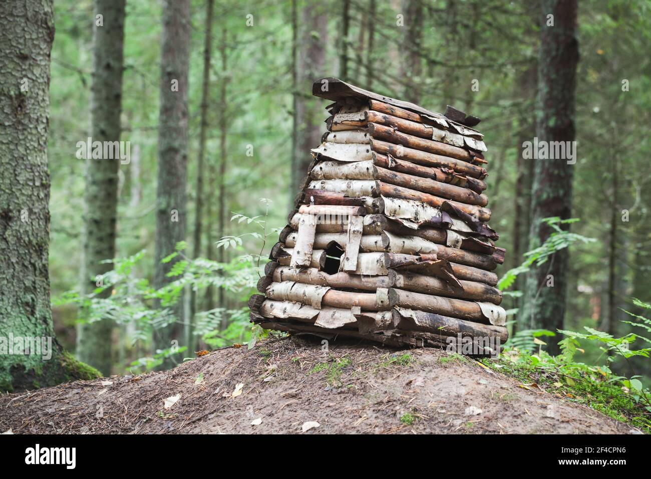 Home for small animals hi-res stock photography and images - Alamy