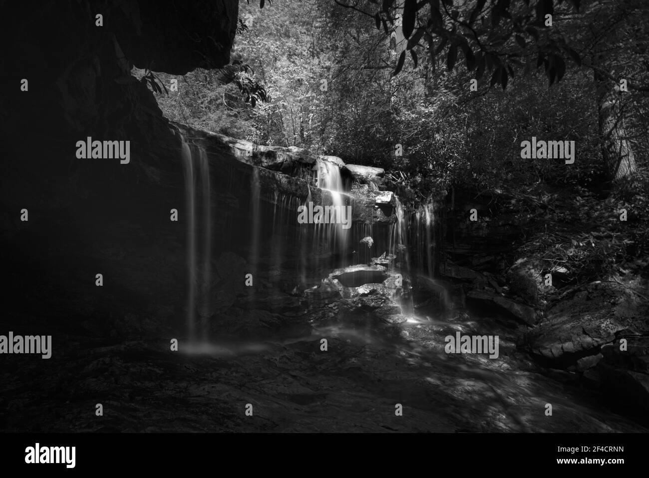 A grayscale shot of small waterfalls in a forest in West Virginia Stock ...