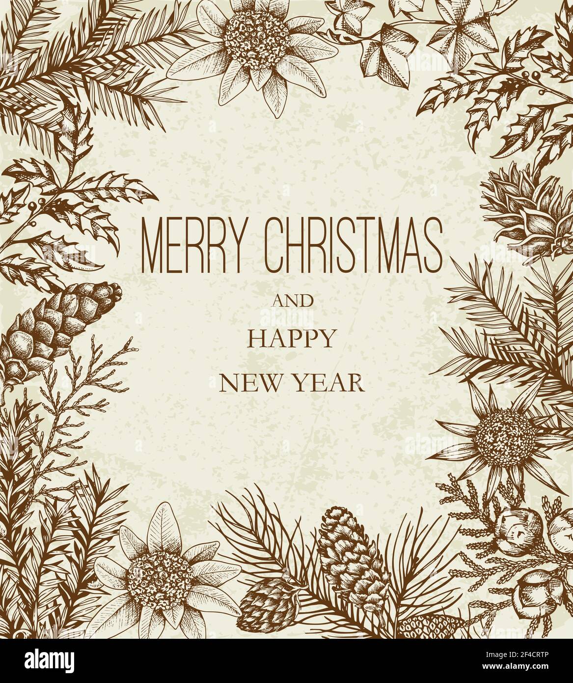Vintage Christmas greeting card with evergreen plants and flowers. Decorative background for ...