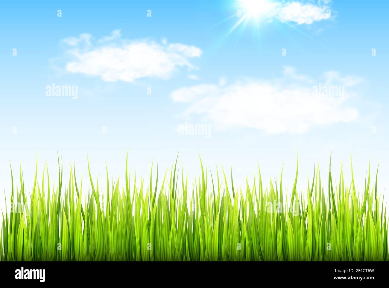 Spring background with fresh green grass and blue sky with clouds ...