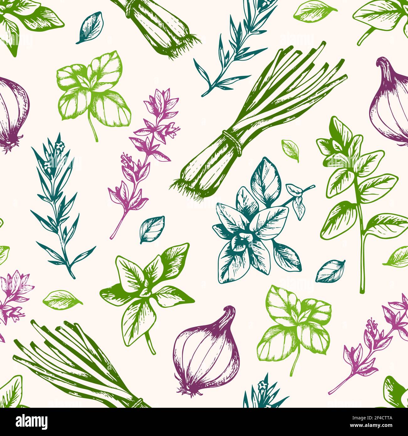 Vintage hand drawn seamless pattern with Italian herbs and spices Stock Vector Image & Art - Alamy