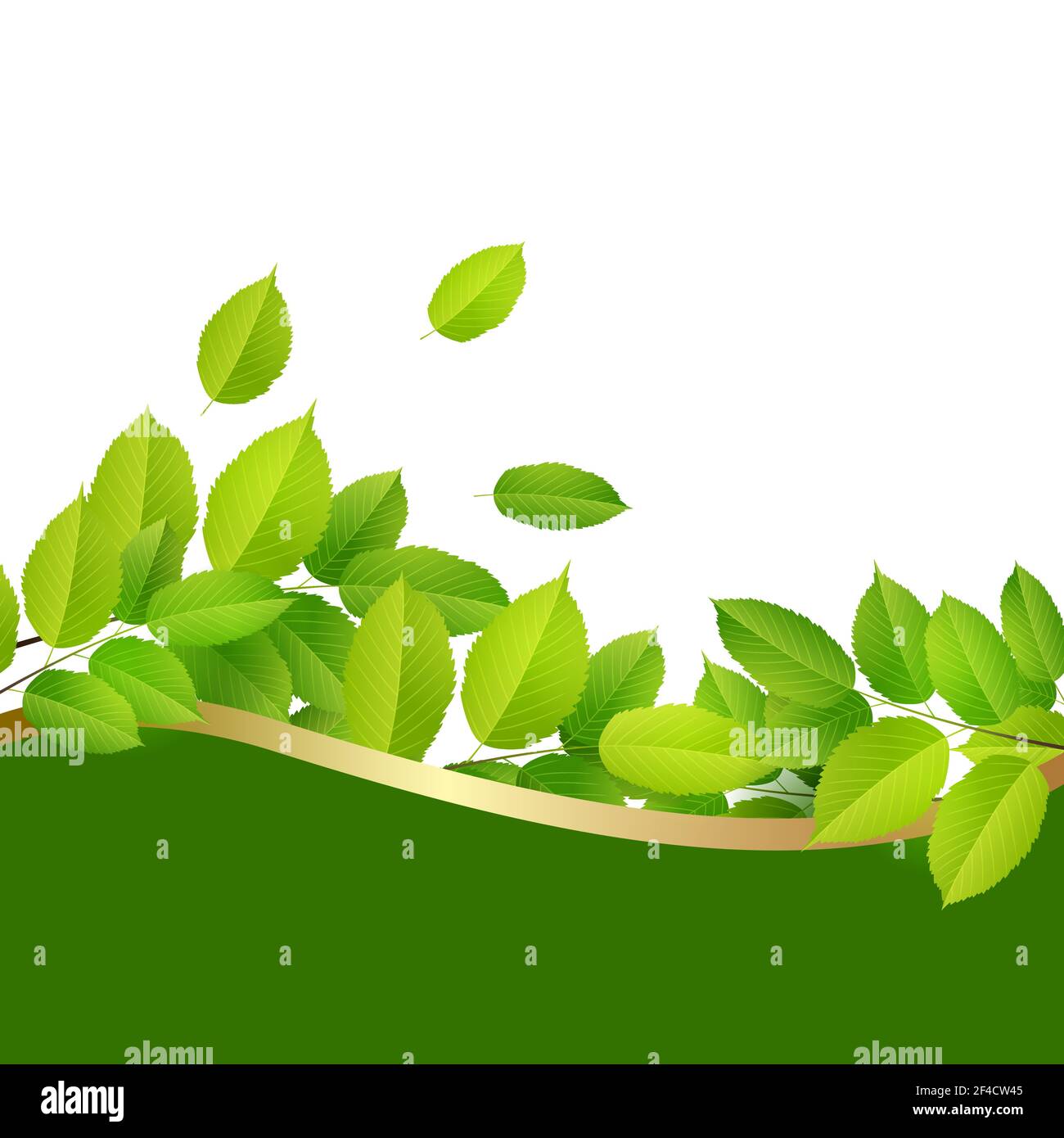 Spring nature banner with green leaves on a white background. Vector ...