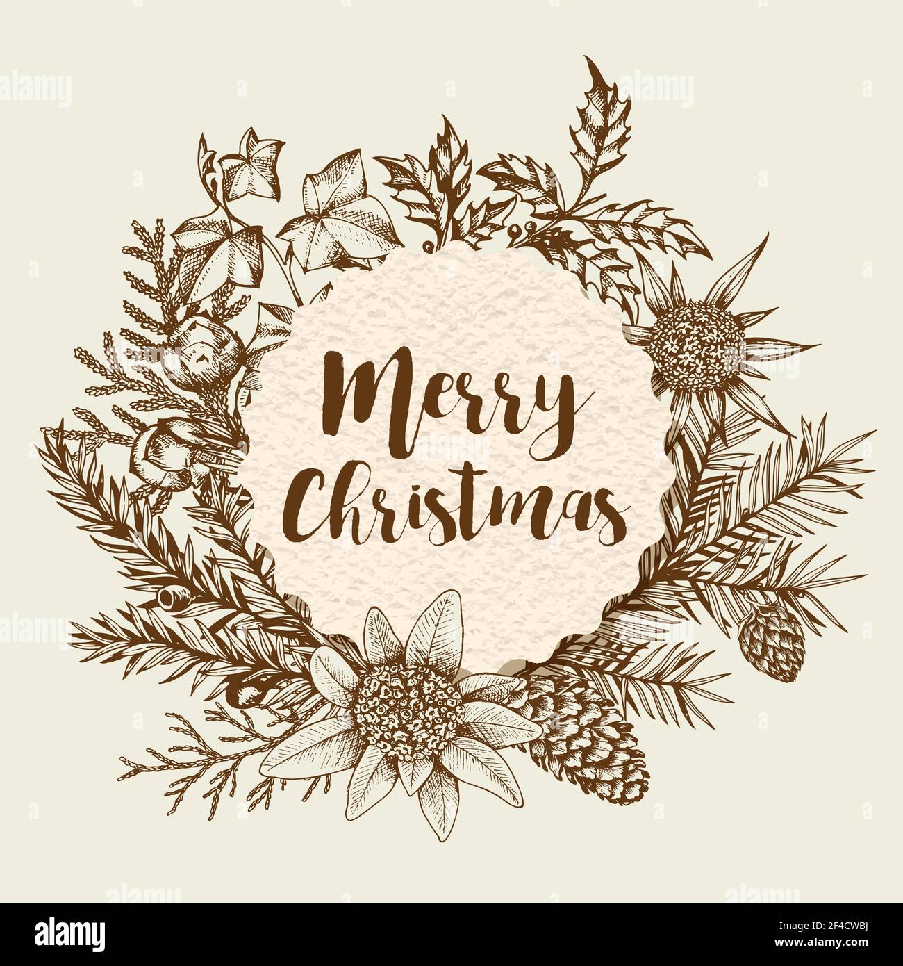 New cypress Stock Vector Images - Alamy