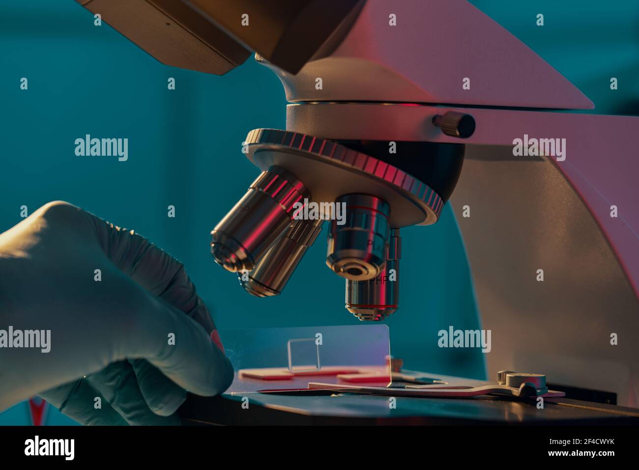 Glass slide with a tissue in hand and a scientific microscope ...