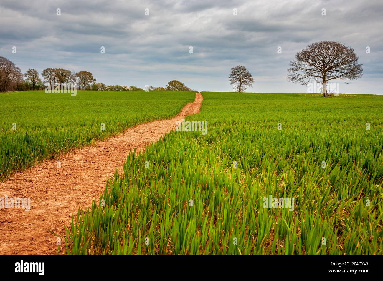 Public footpath across a field hi-res stock photography and images - Alamy