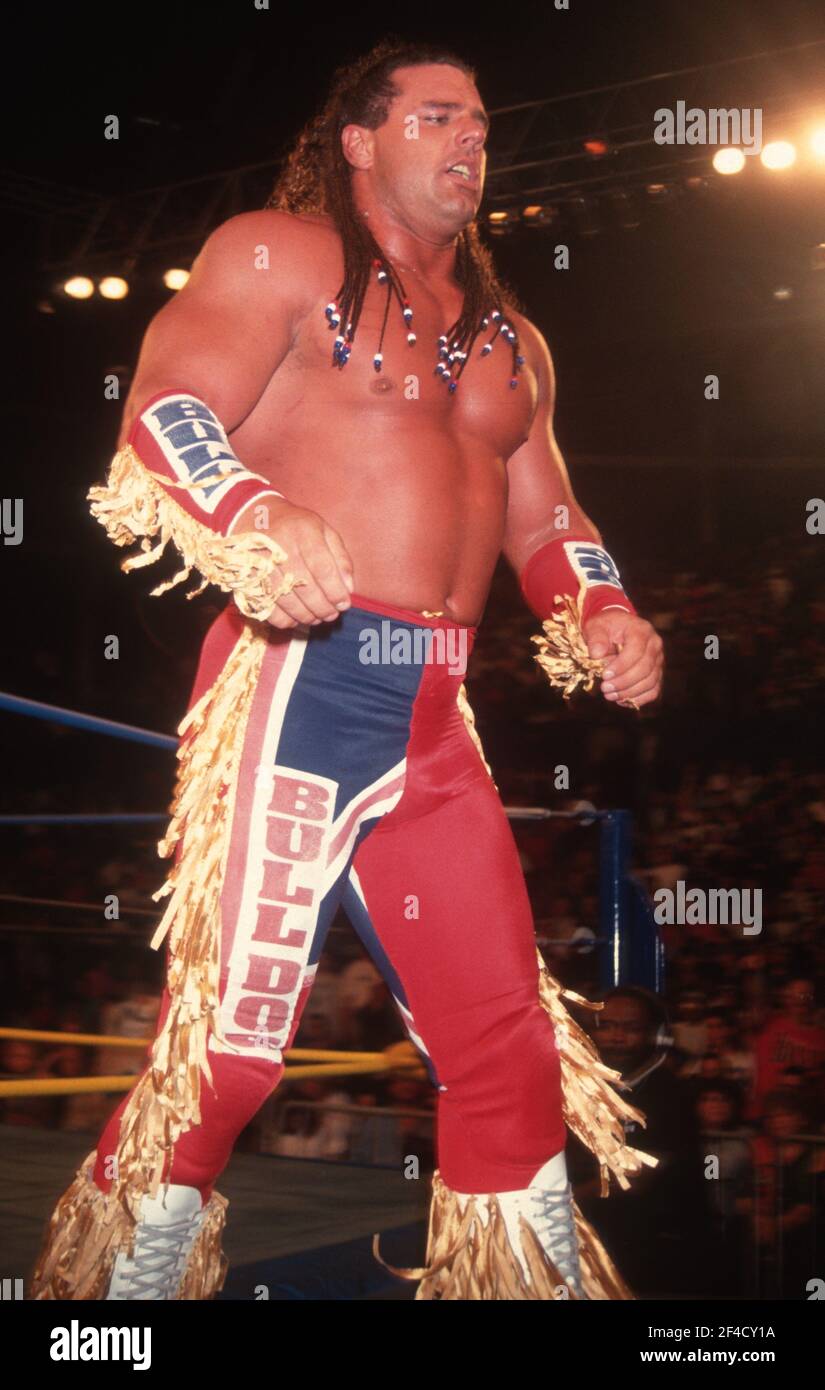 British bull Dog 1993Photo By John Barrett/PHOTOlink / MediaPunch Stock ...