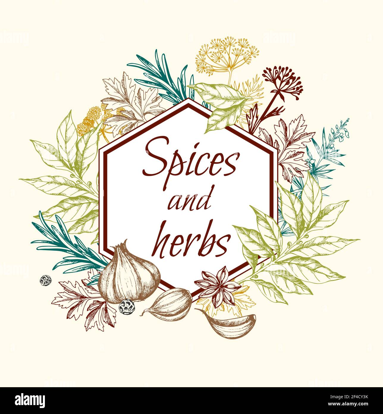 Vintage hand drawn floral background with spices and herbs. Vector ...
