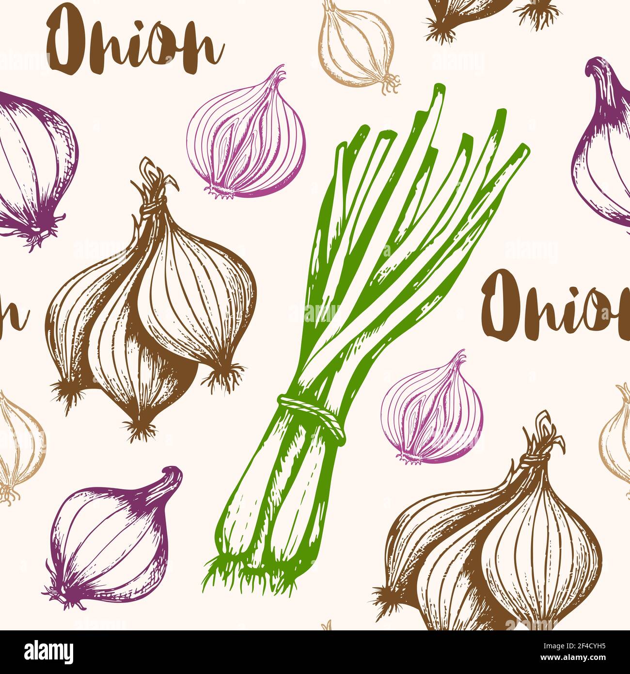 Onion and herb Stock Vector Images - Alamy