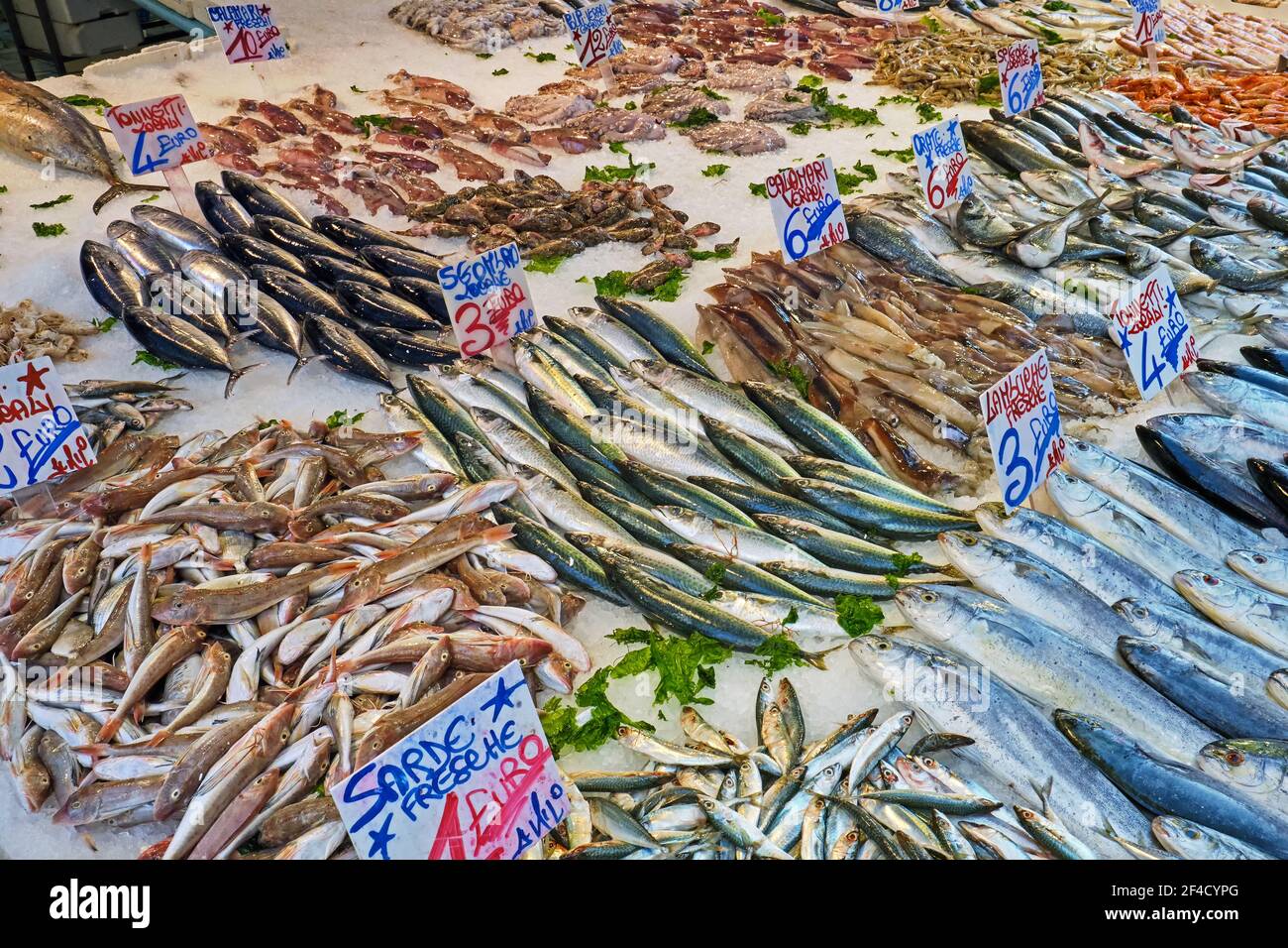 Saltwater fish selection hi-res stock photography and images - Alamy