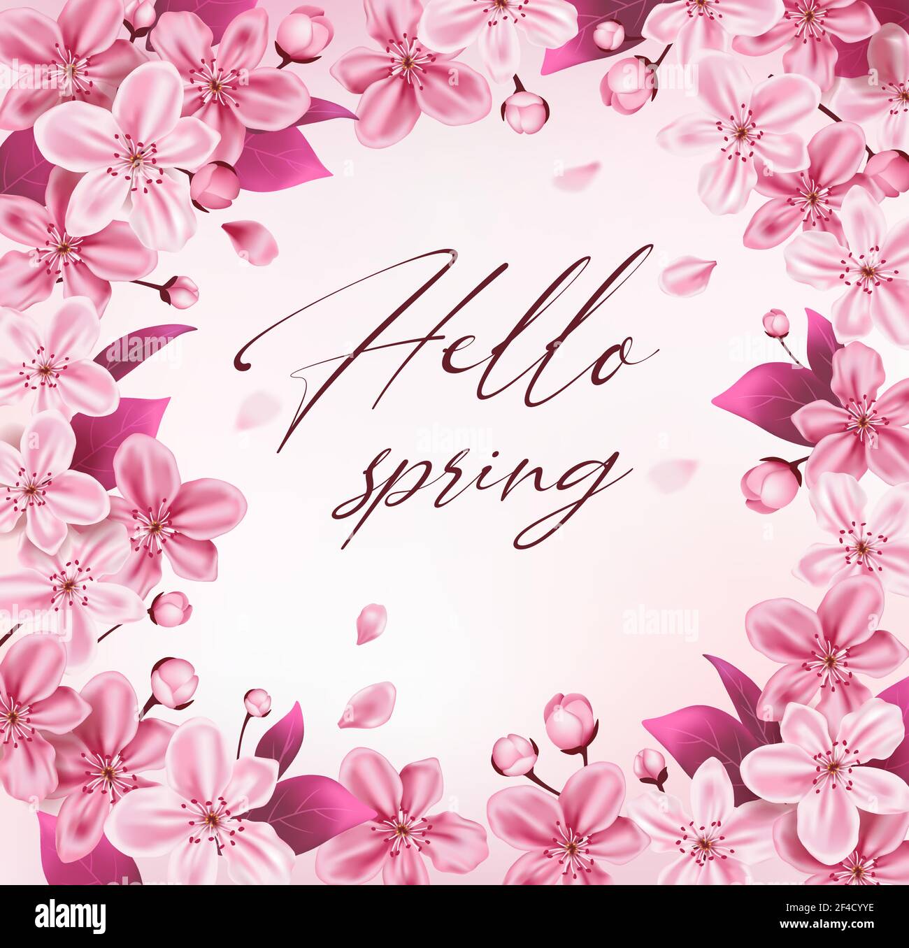 Decorative frame with pink cherry flowers. Spring floral background for ...