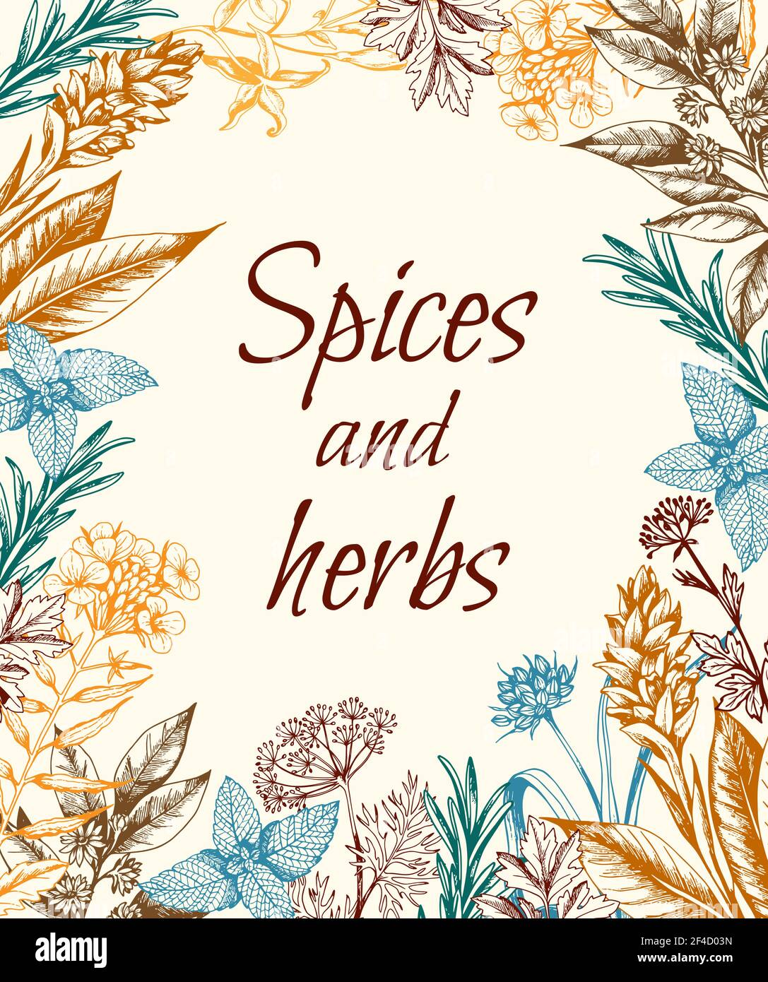 Vintage hand drawn floral background with spices and herbs. Vector ...