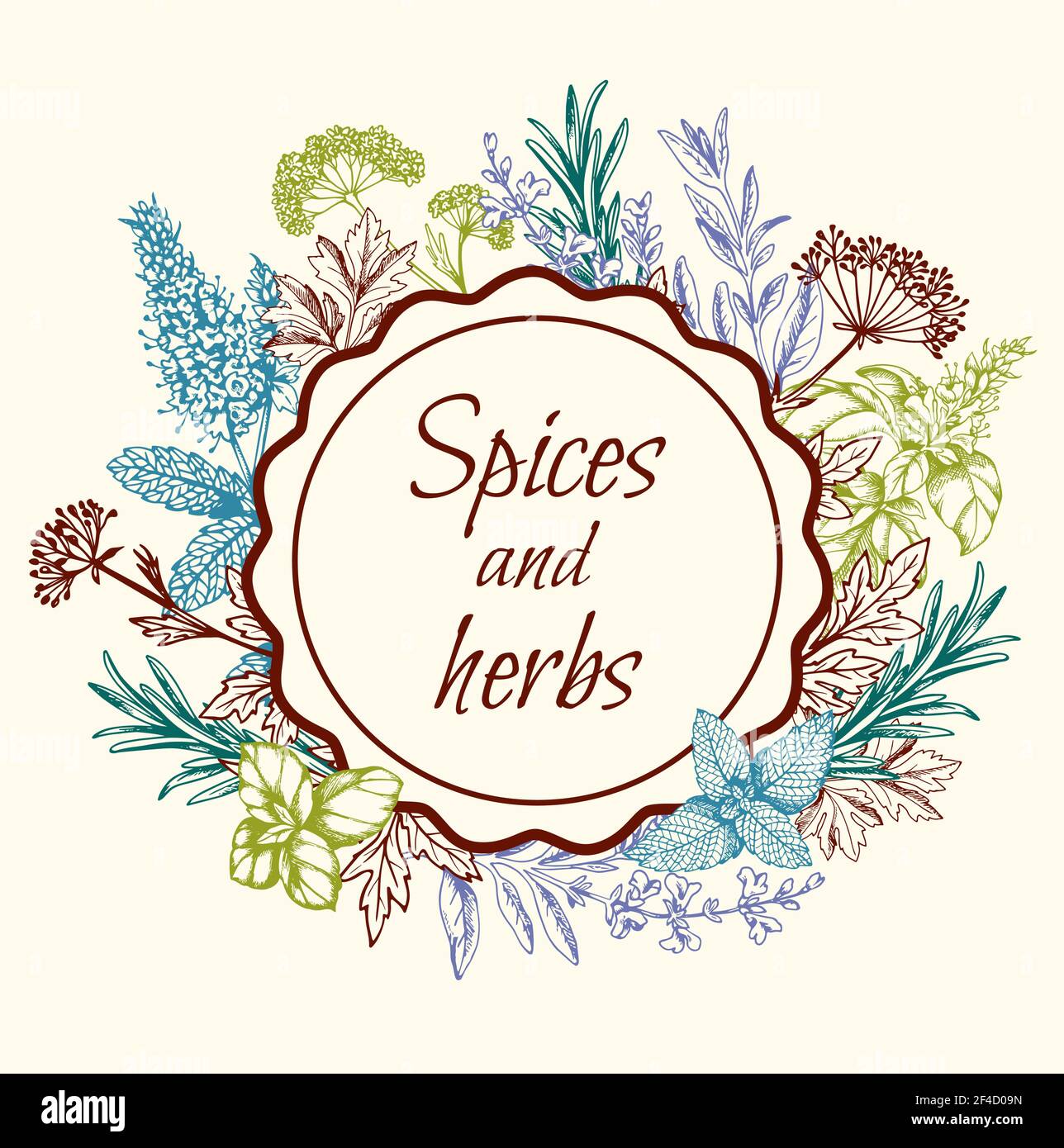 Vintage hand drawn floral background with spices and herbs. Vector illustration Stock Vector ...