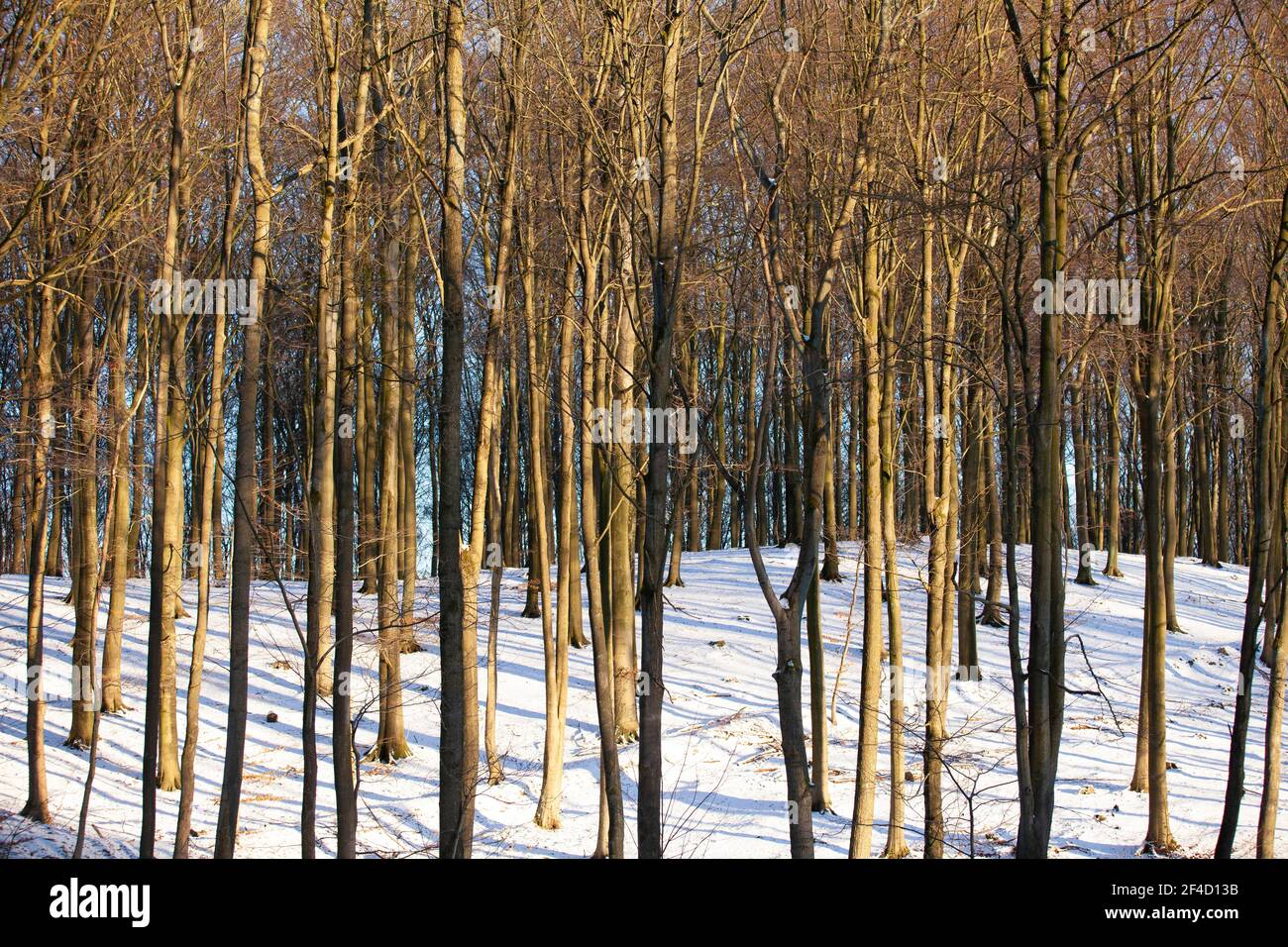 Ruderskov hi-res stock photography and images - Alamy