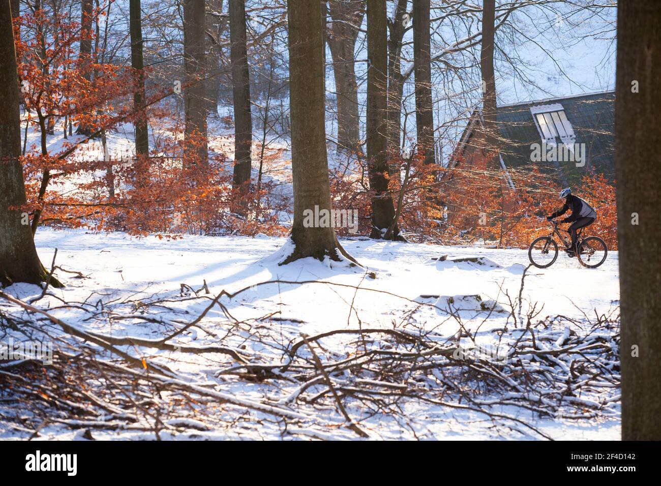 Cycling denmark countryside hi-res stock photography and images - Alamy