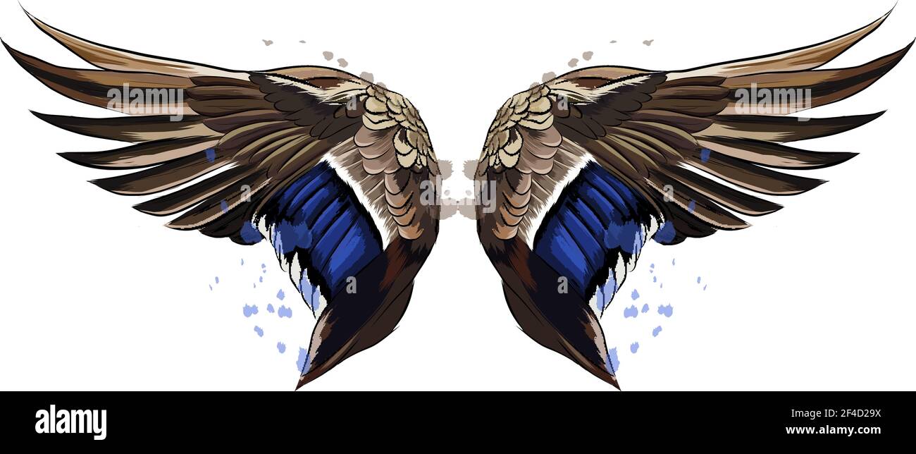 Realistic Wings Drawing