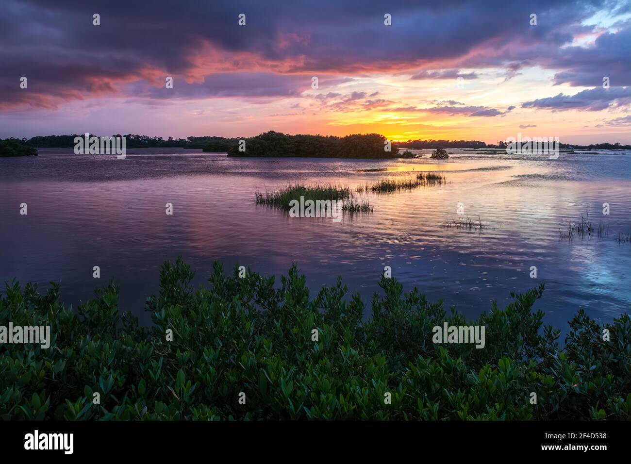 Florida scenic nature hi-res stock photography and images - Alamy