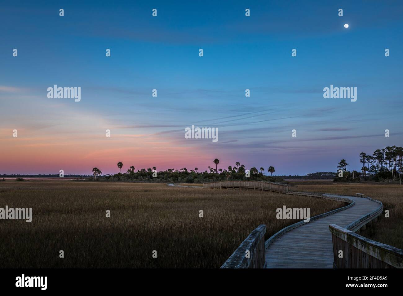 Full moon dusk pine hi-res stock photography and images - Alamy